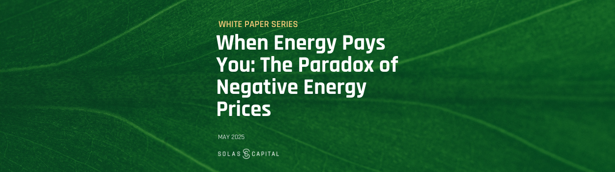 When Energy Pays You: The Paradox of Negative Energy Prices - Energy ...